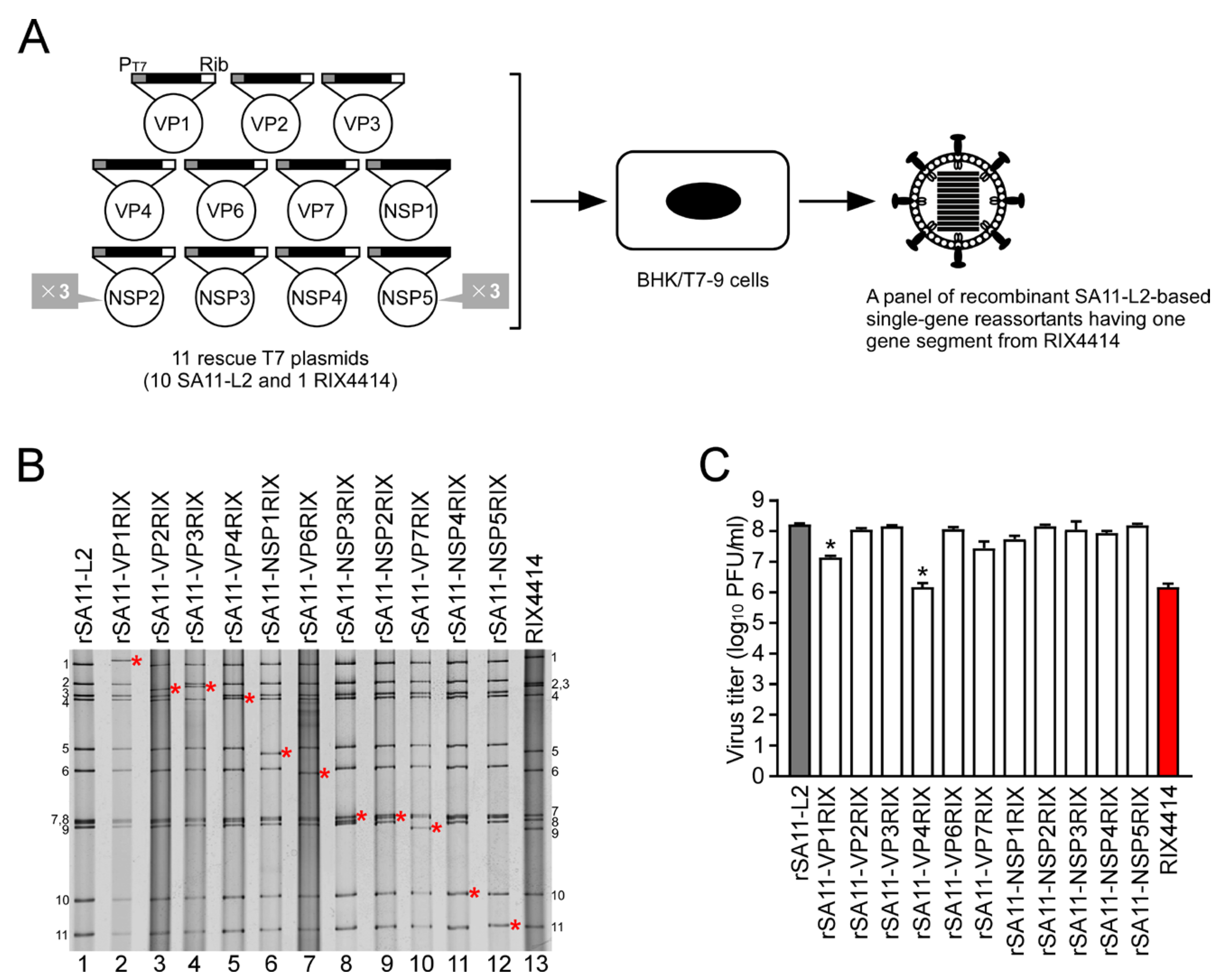 Generation of Recombinant Authentic Live Attenuated Human Rotavirus ...
