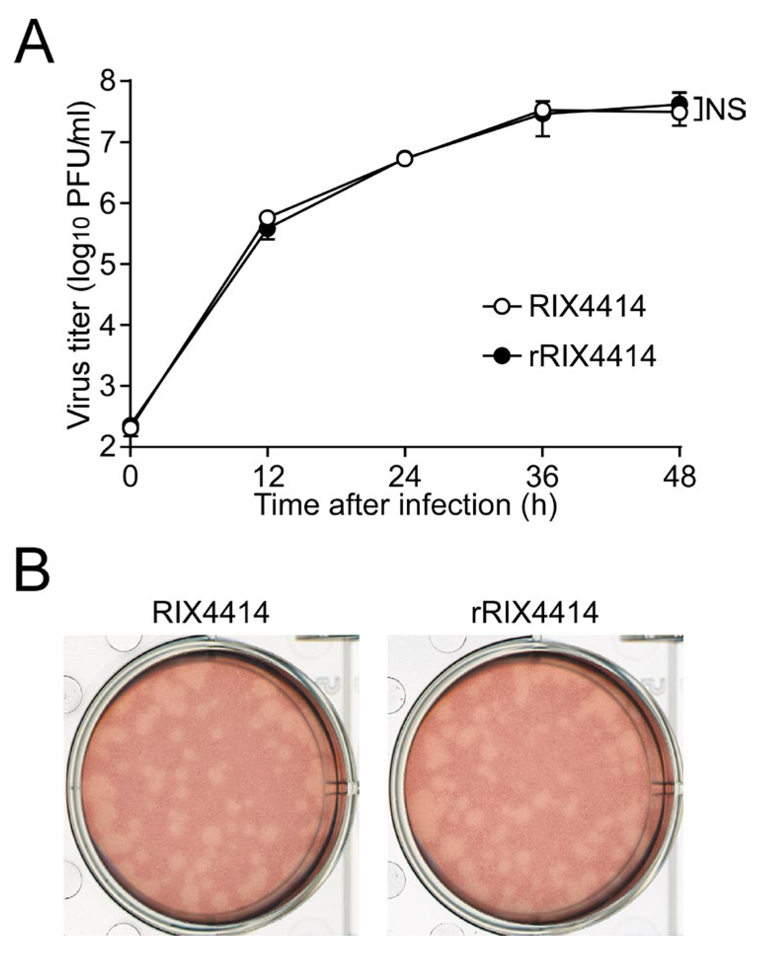 Generation of Recombinant Authentic Live Attenuated Human Rotavirus ...
