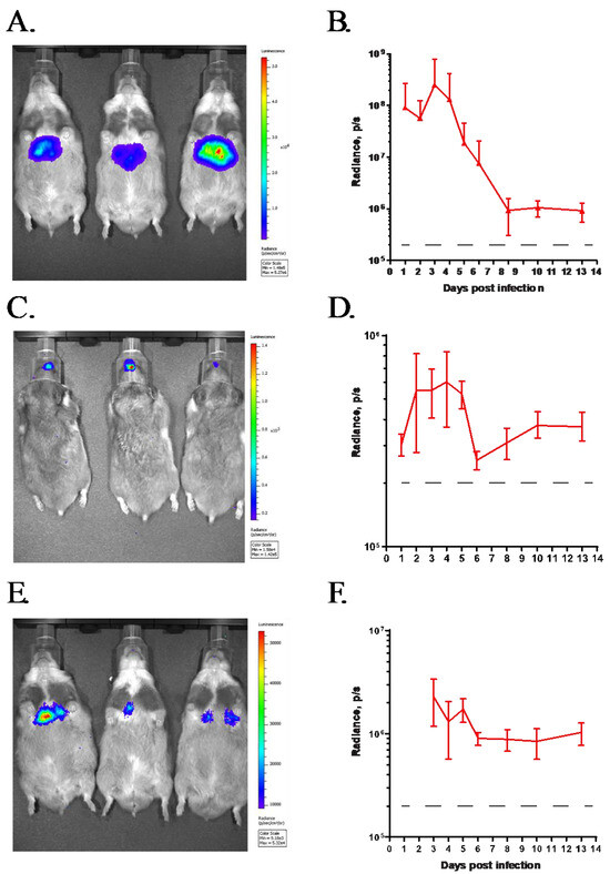 Longitudinal Monitoring of the Effects of Anti-Adenoviral Treatment ...