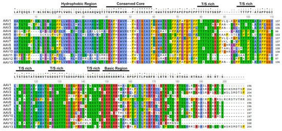 The Expression and Function of the Small Nonstructural Proteins of ...