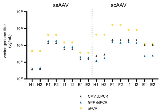 In-Depth Comparison of Adeno-Associated Virus Containing Fractions ...
