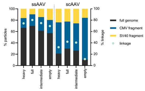 In-Depth Comparison of Adeno-Associated Virus Containing Fractions ...