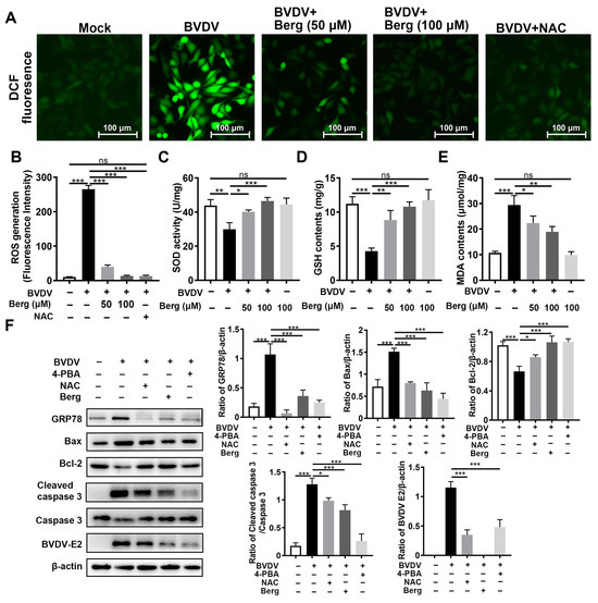 Bergamottin Inhibits Bovine Viral Diarrhea Virus Replication by ...