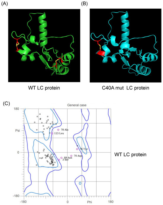 The Feline calicivirus Leader of the Capsid (LC) Protein Contains a Putative Transmembrane ...