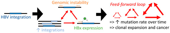 Hepatitis B Viral Protein HBx: Roles in Viral Replication and ...