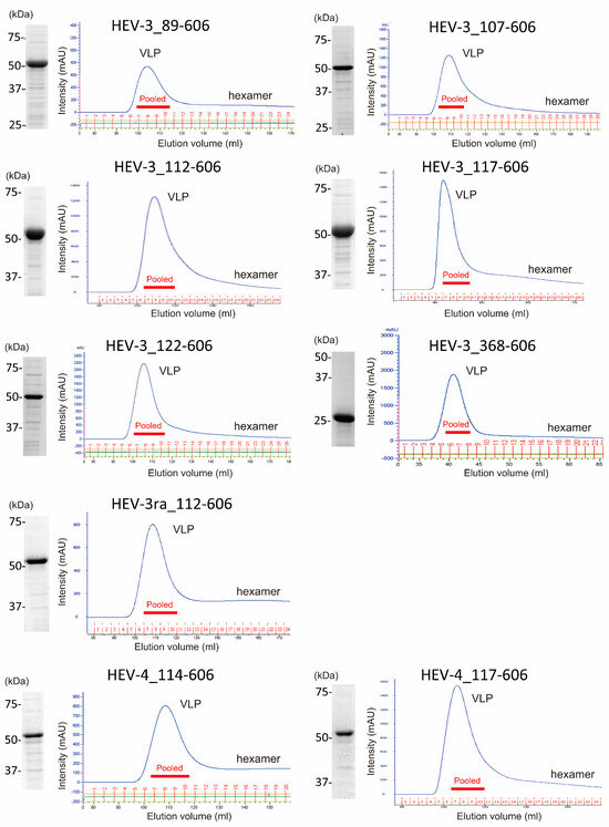Production and Characterization of Self-Assembled Virus-like Particles ...