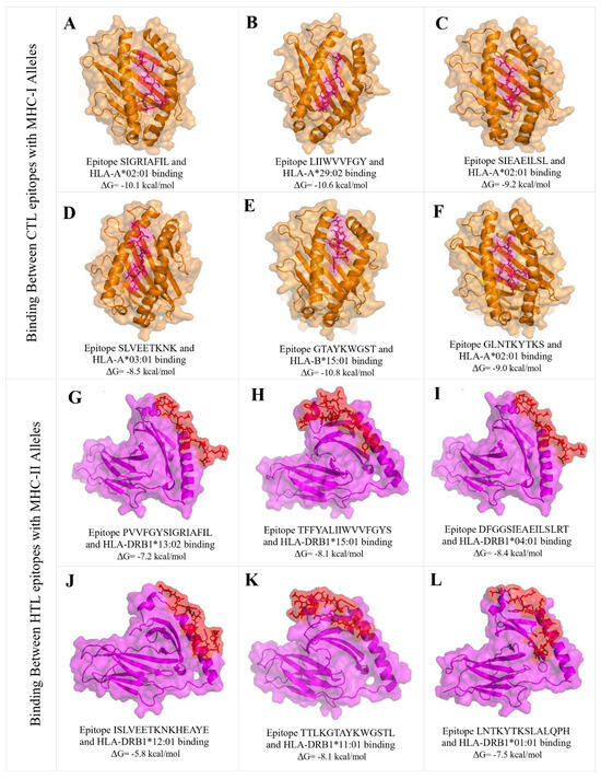Targeting Yezo Virus Structural Proteins for Multi-Epitope Vaccine Design Using ...