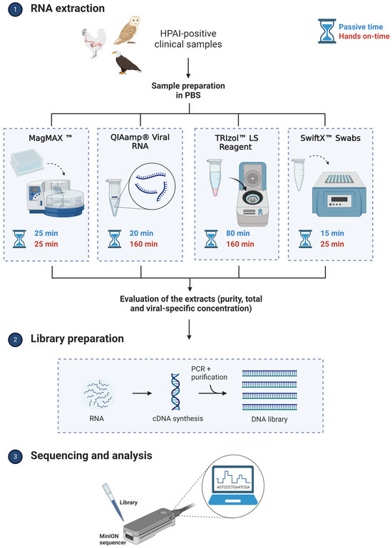 Viruses | Free Full-Text | Evaluation of Commercial RNA Extraction ...