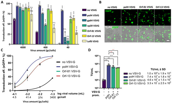 Tuning VSV-G Expression Improves Baculovirus Integrity, Stability and ...