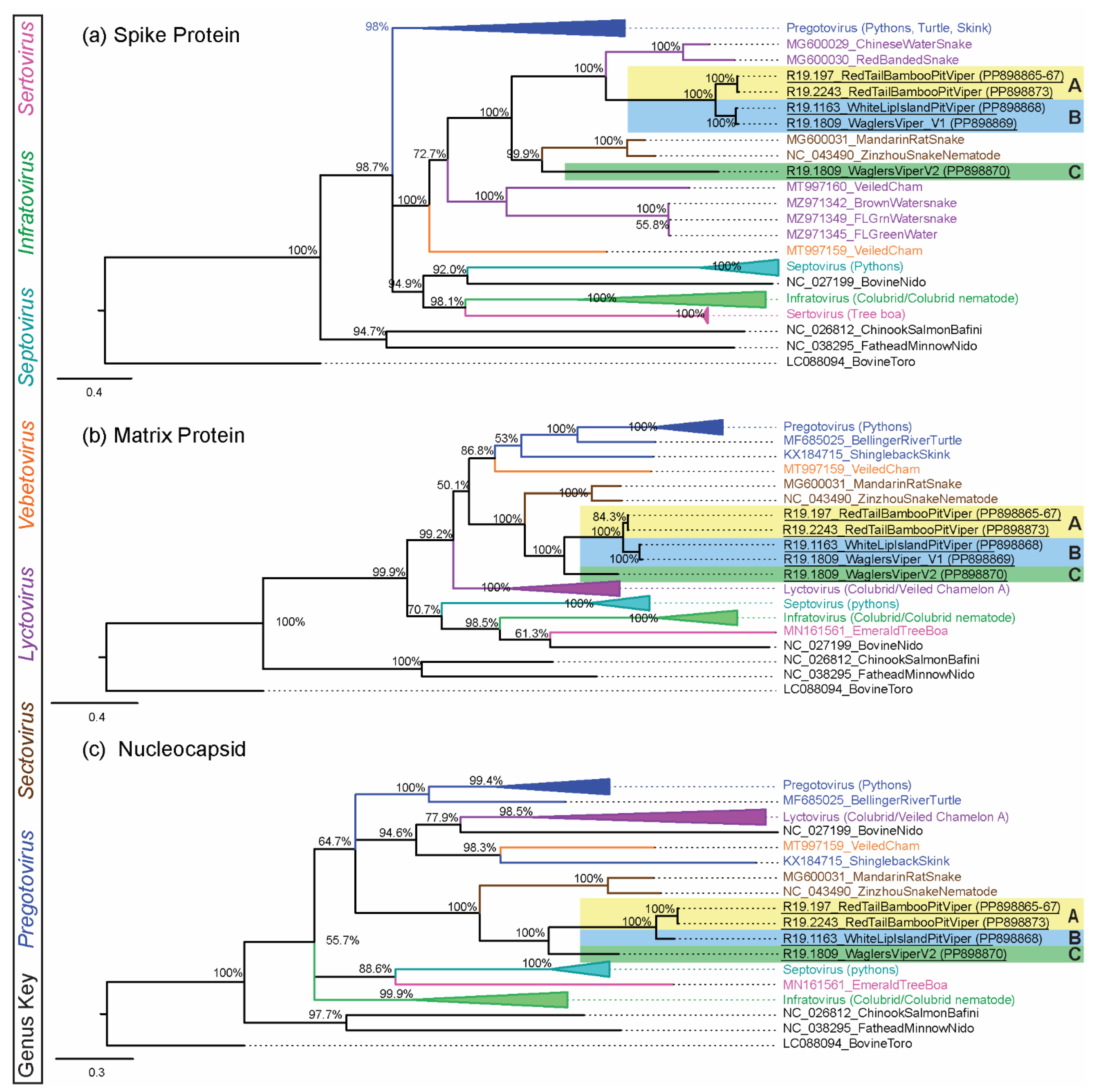 Identification and Characterization of Novel Serpentoviruses in Viperid ...