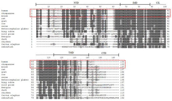 Research Progress into the Biological Functions of IFITM3