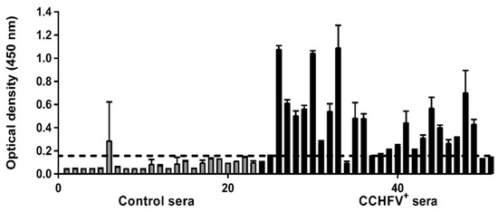 The Role of Nucleocapsid Protein (NP) in the Immunology of Crimean ...