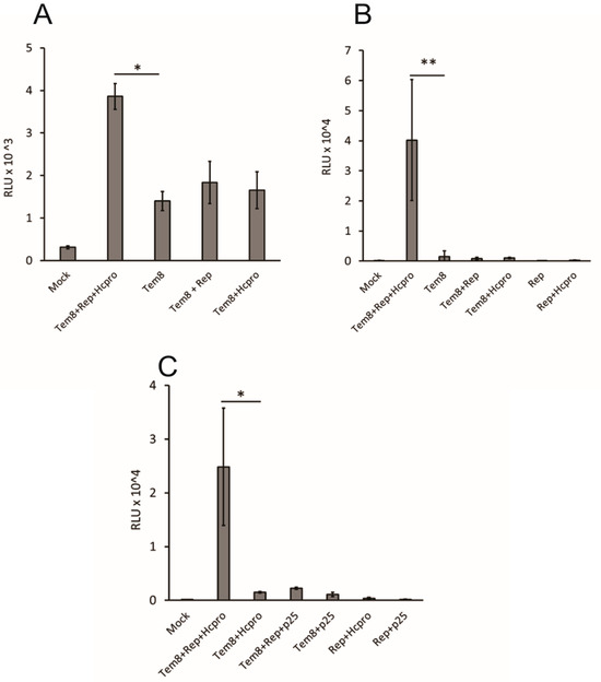 The Replicase Protein of Potato Virus X Is Able to Recognize and Trans ...