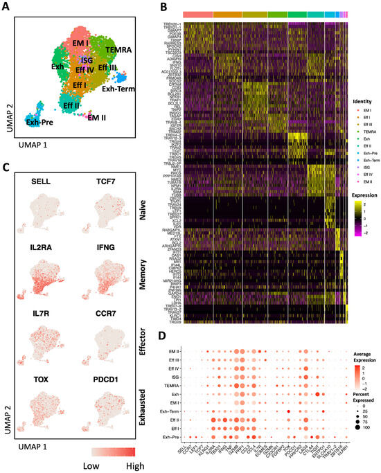 Activation-Induced Marker Assay to Identify and Isolate HCV-Specific T ...