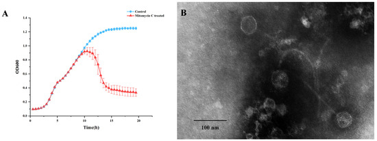 Deciphering the Genetic Architecture of Staphylococcus warneri Prophage ...