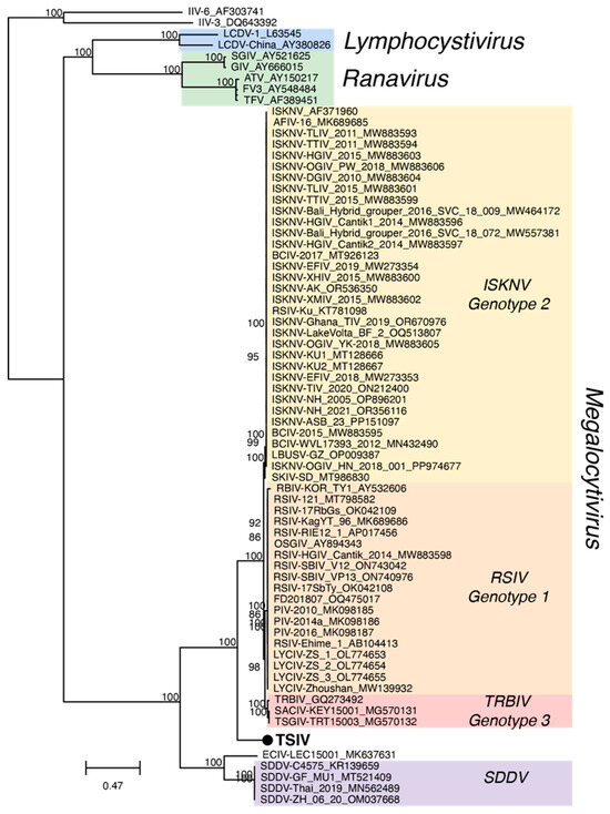Genomic Sequence of the Threespine Stickleback Iridovirus (TSIV) from ...