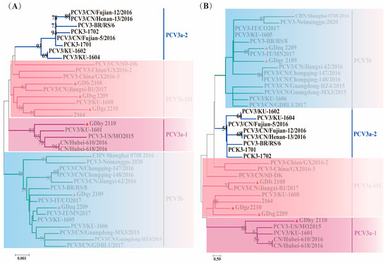 Epidemiologic Investigation and Genetic Variation Analysis of PRRSV ...