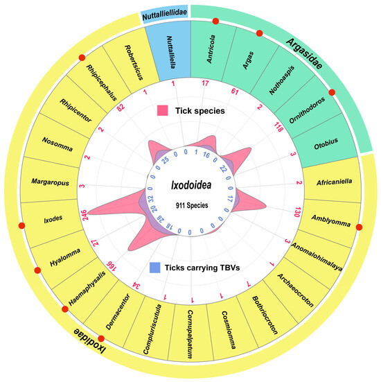 The Known and Unknown of Global Tick-Borne Viruses