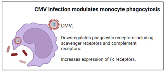 Modulation of Monocyte Effector Functions and Gene Expression by Human ...