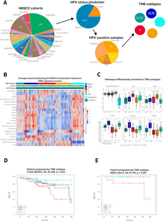 Viral Transcript and Tumor Immune Microenvironment-Based Transcriptomic ...