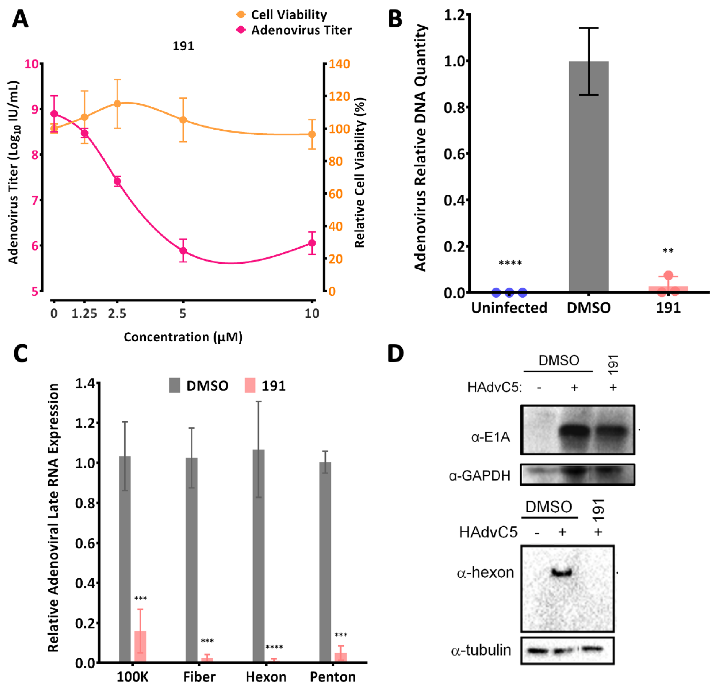 Exploiting the Achilles’ Heel of Viral RNA Processing to Develop Novel Antivirals
