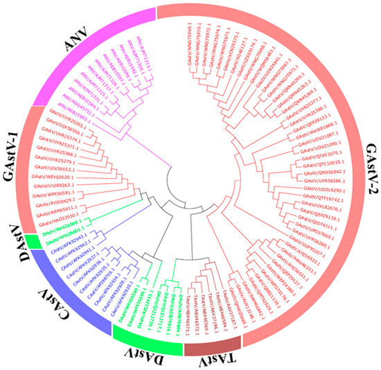 Current Situation of Goose Astrovirus in China: A Review