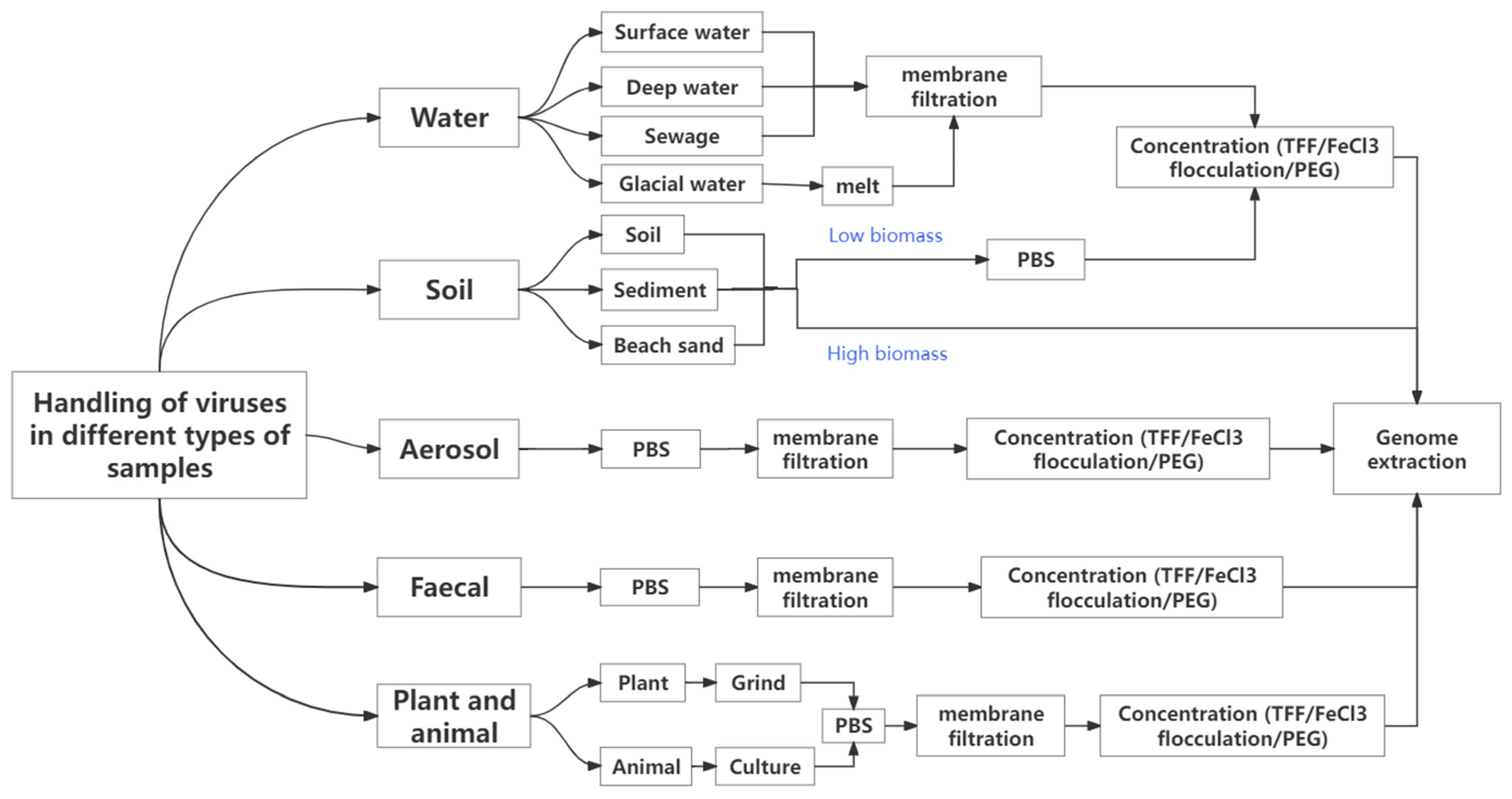 Review of Methods for Studying Viruses in the Environment and Organisms
