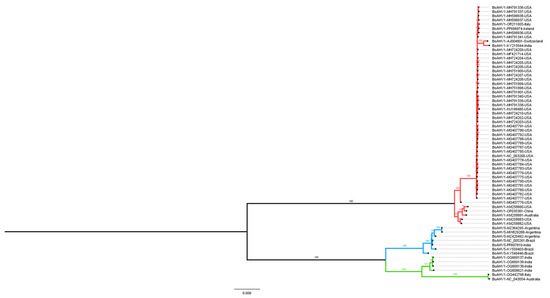 Recombination Between Bubaline Alphaherpesvirus 1 and Bovine ...