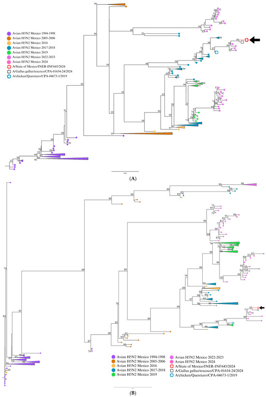 Mexico’s Laboratory-Confirmed Human Case of Infection with the ...