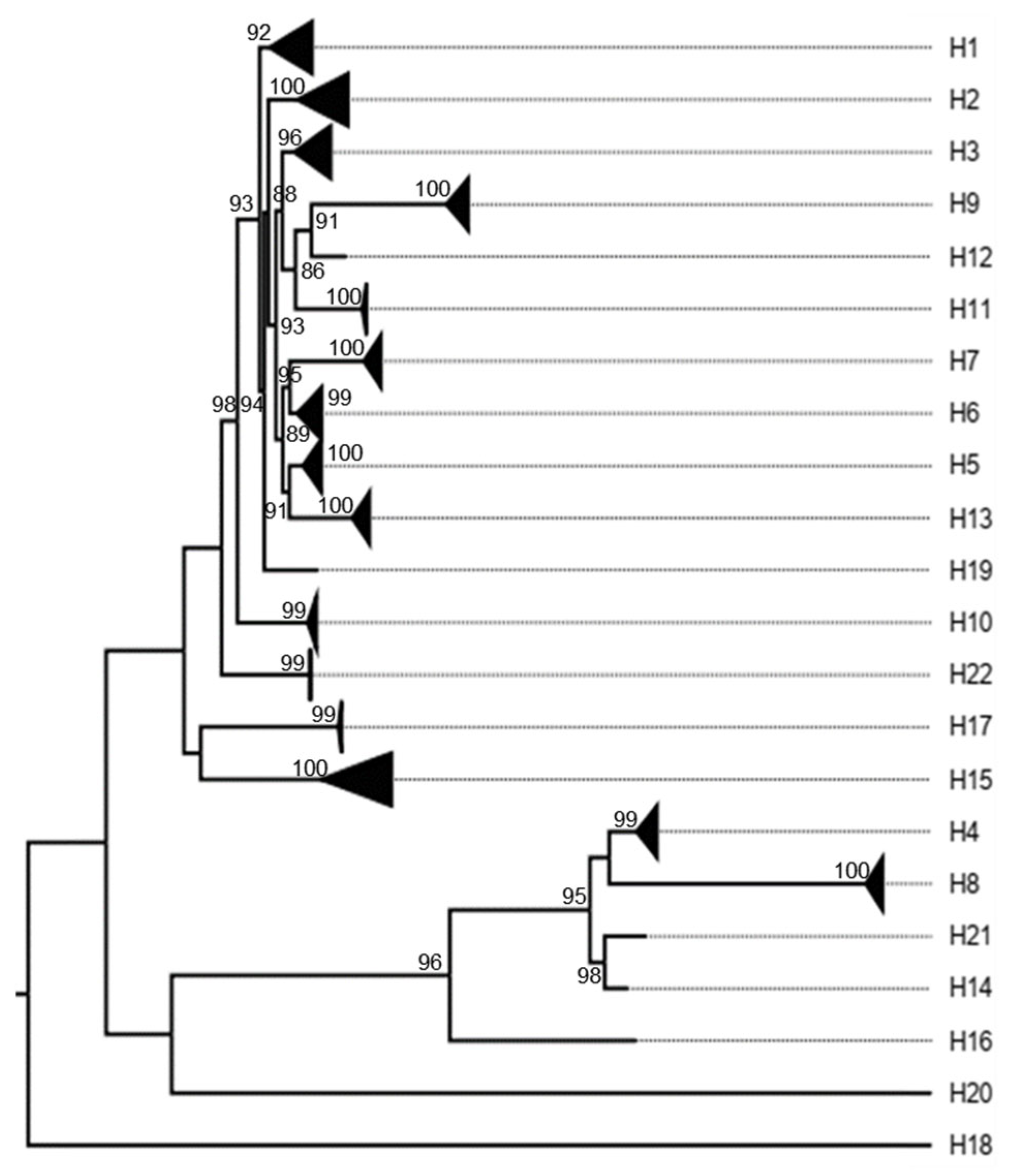 Complete Genome Classification System of Rotavirus ...