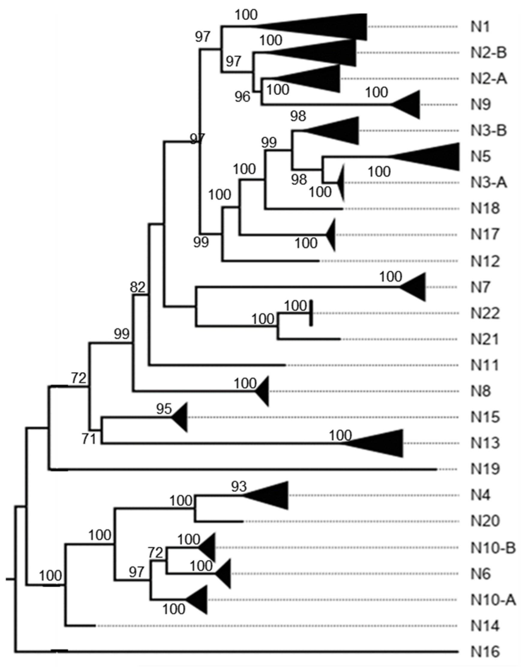 Complete Genome Classification System of Rotavirus ...