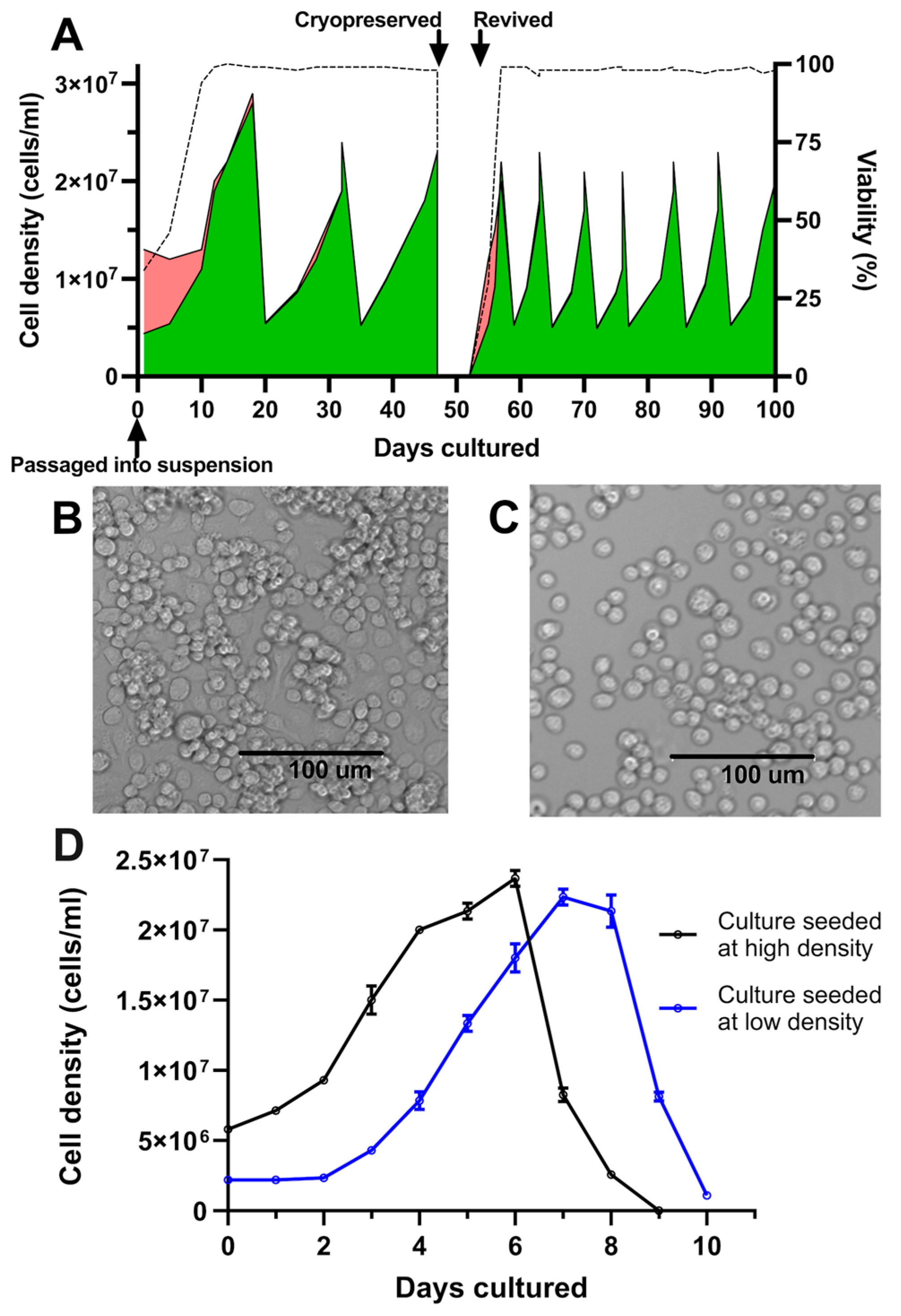 Serum-Free Suspension Culture of the Aedes albopictus C6/36 Cell Line ...