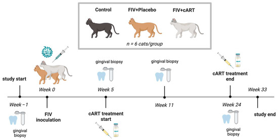 Impacts of Antiretroviral Therapy on the Oral Microbiome and ...