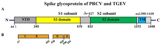 Transmissible Gastroenteritis Virus (TGEV) and Porcine Respiratory ...