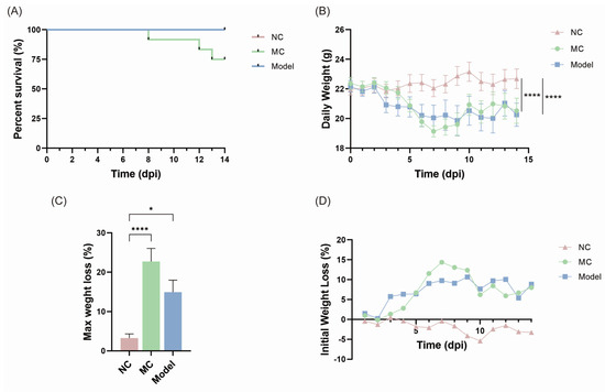 Establishment and Evaluation of Fatigue Mice Model in the Convalescence ...