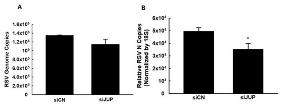 The Impact of EPAC2-Associated Junction Plakoglobin on Respiratory ...