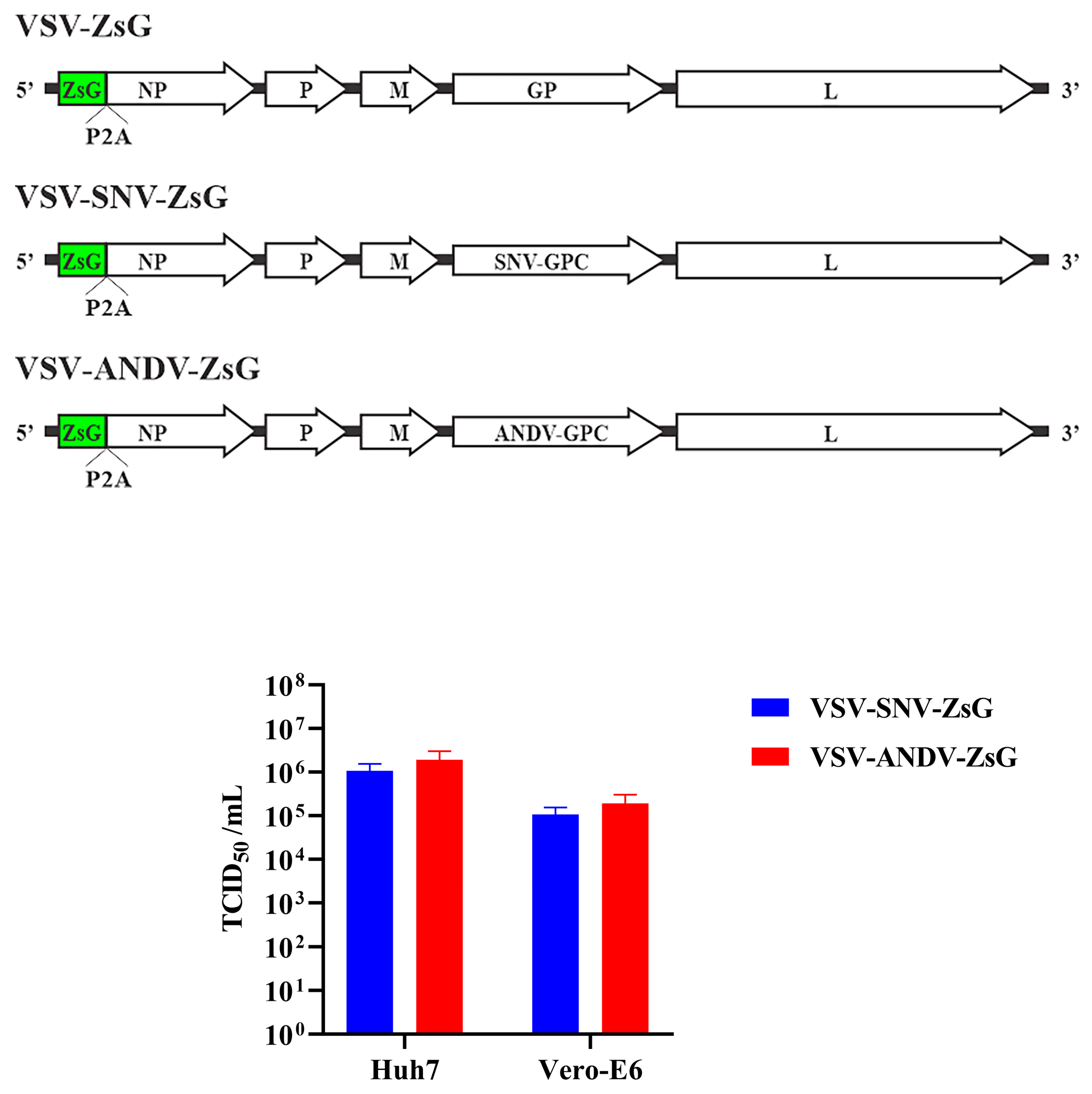 Evaluating Neutralizing Antibodies in Hantavirus-Infected Patients ...