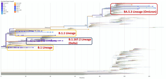 Facilitating Cross-border Viral Sequencing Through Nucleic Acid Sample ...
