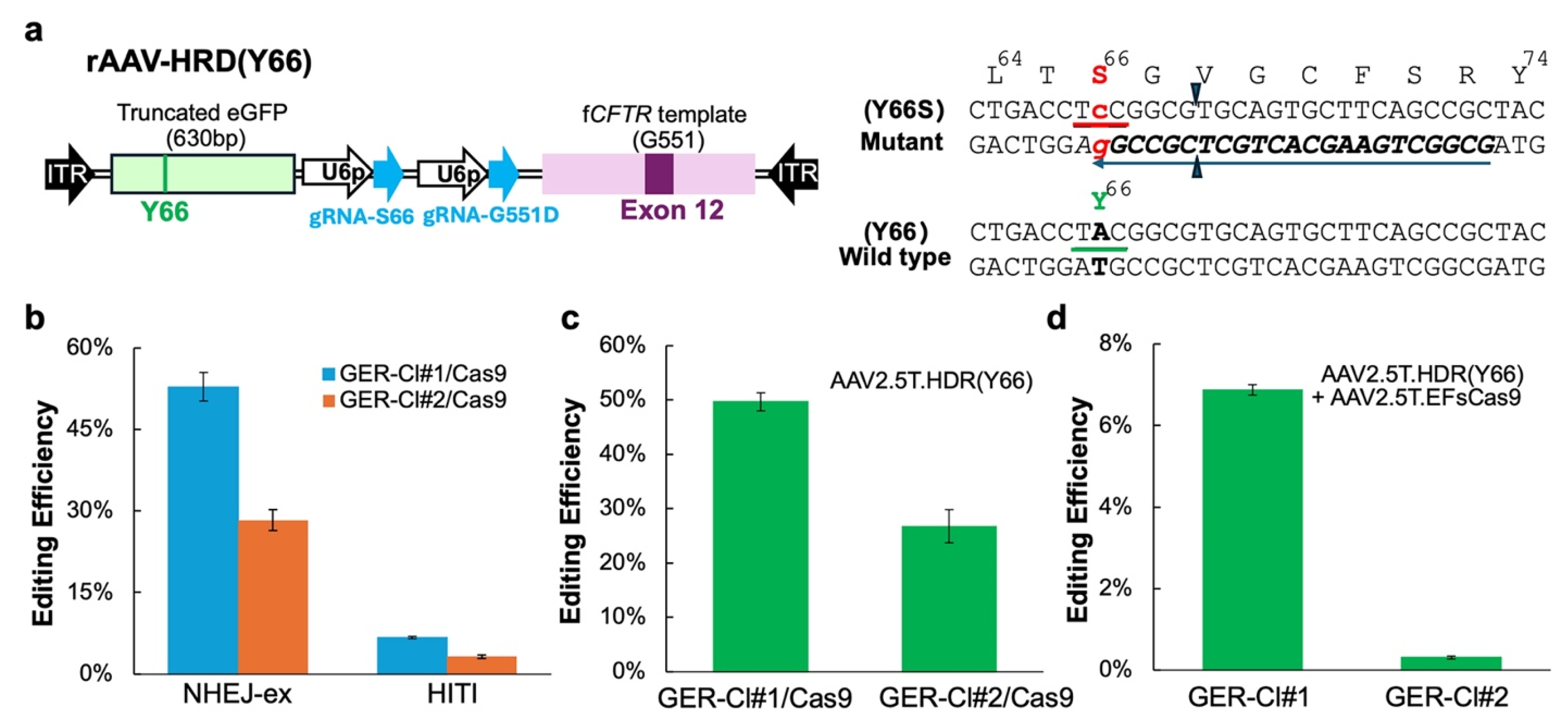 A Versatile Reporter Platform for Evaluating HDR- and NHEJ-Based Genome ...