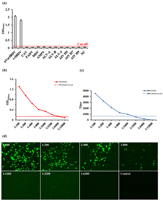Development and Application of Indirect ELISA for IBDV VP2 Antibodies ...