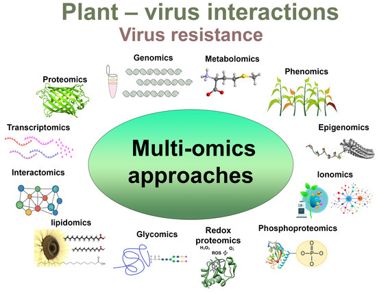 The Emerging Role of Omics-Based Approaches in Plant Virology