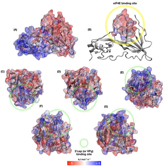 Deciphering Cowpea Resistance to Potyvirus: Assessment of eIF4E Gene ...