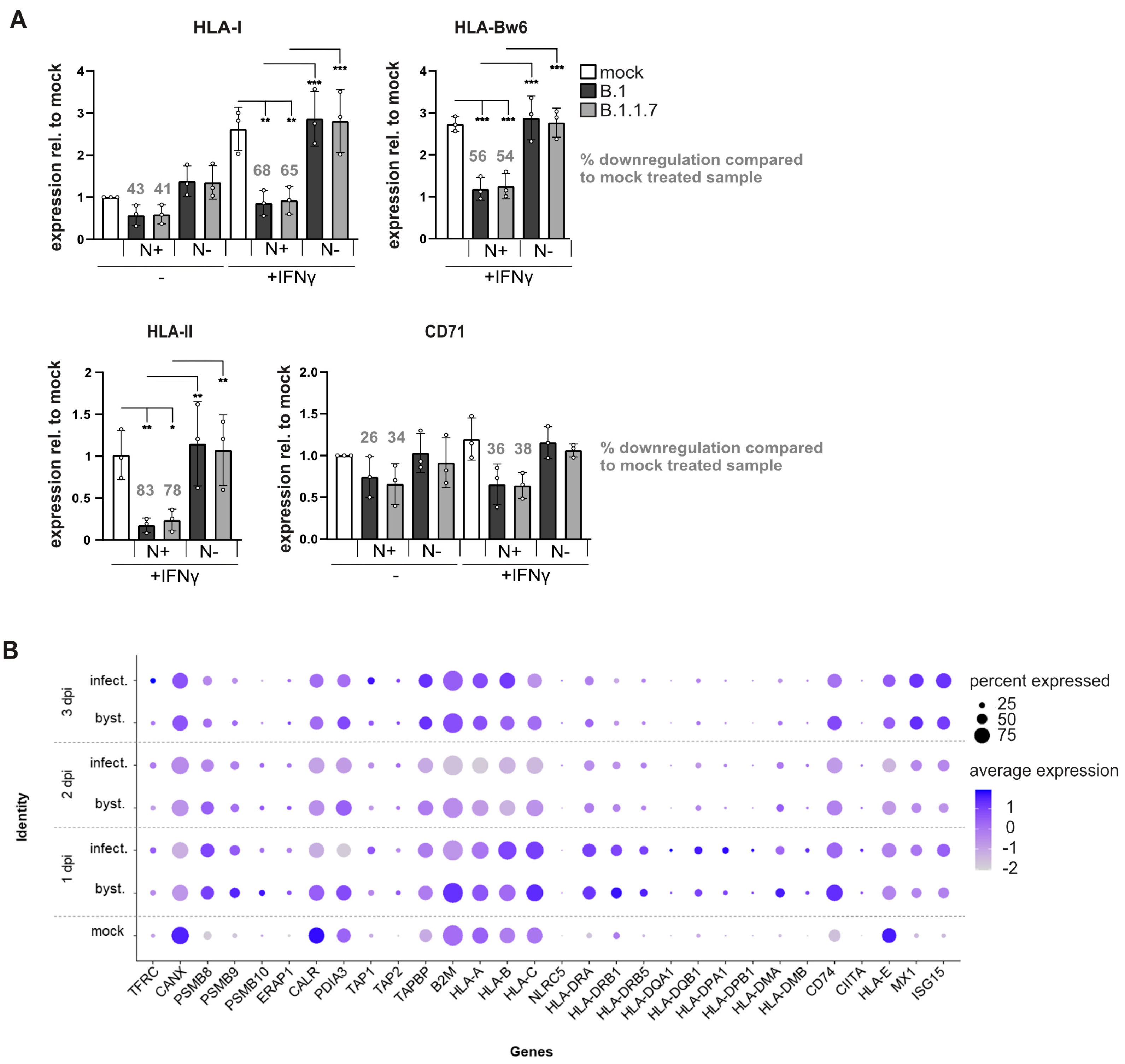 SARS-CoV-2 Nsp1 Is a Major Suppressor of HLA Class I and Class II ...