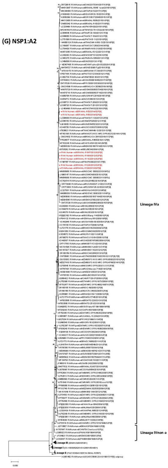 Unveiling the Genomic Landscape of G2P[6] Rotavirus a Strains in Brazil ...