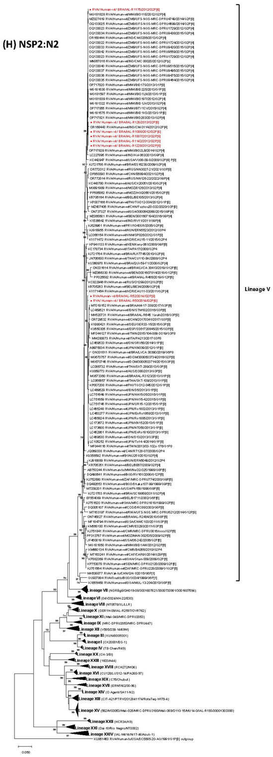 Unveiling the Genomic Landscape of G2P[6] Rotavirus a Strains in Brazil ...