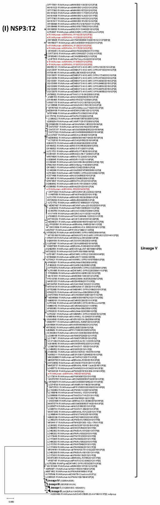 Unveiling the Genomic Landscape of G2P[6] Rotavirus a Strains in Brazil ...