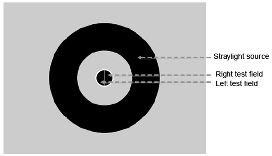 South American Values of the Optical Straylight Function