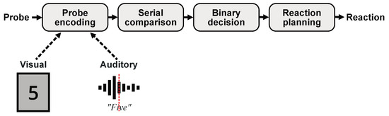 The Sternberg Paradigm: Correcting Encoding Latencies in Visual and ...