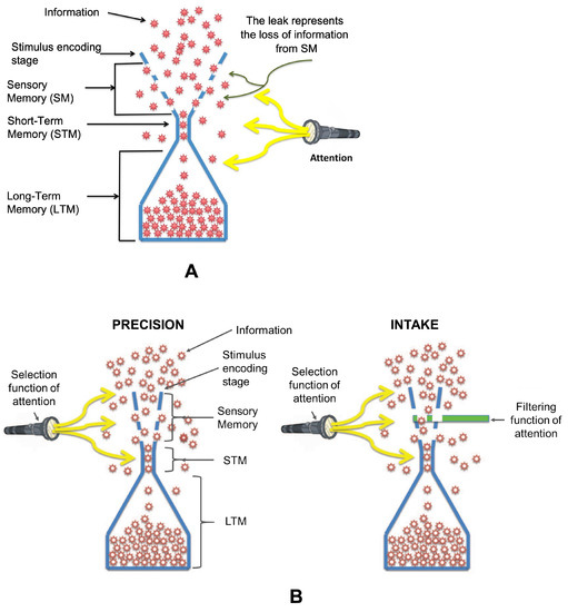 Vision | An Open Access Journal from MDPI