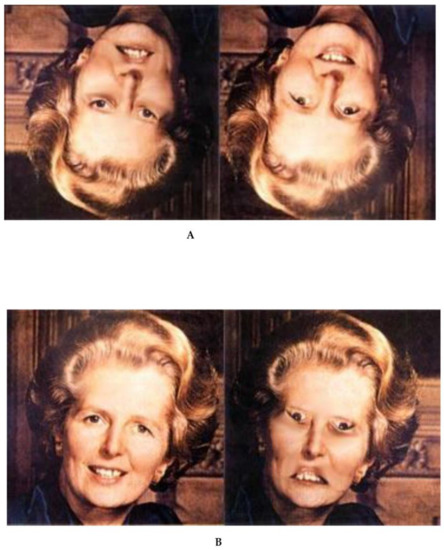 Vision | An Open Access Journal from MDPI